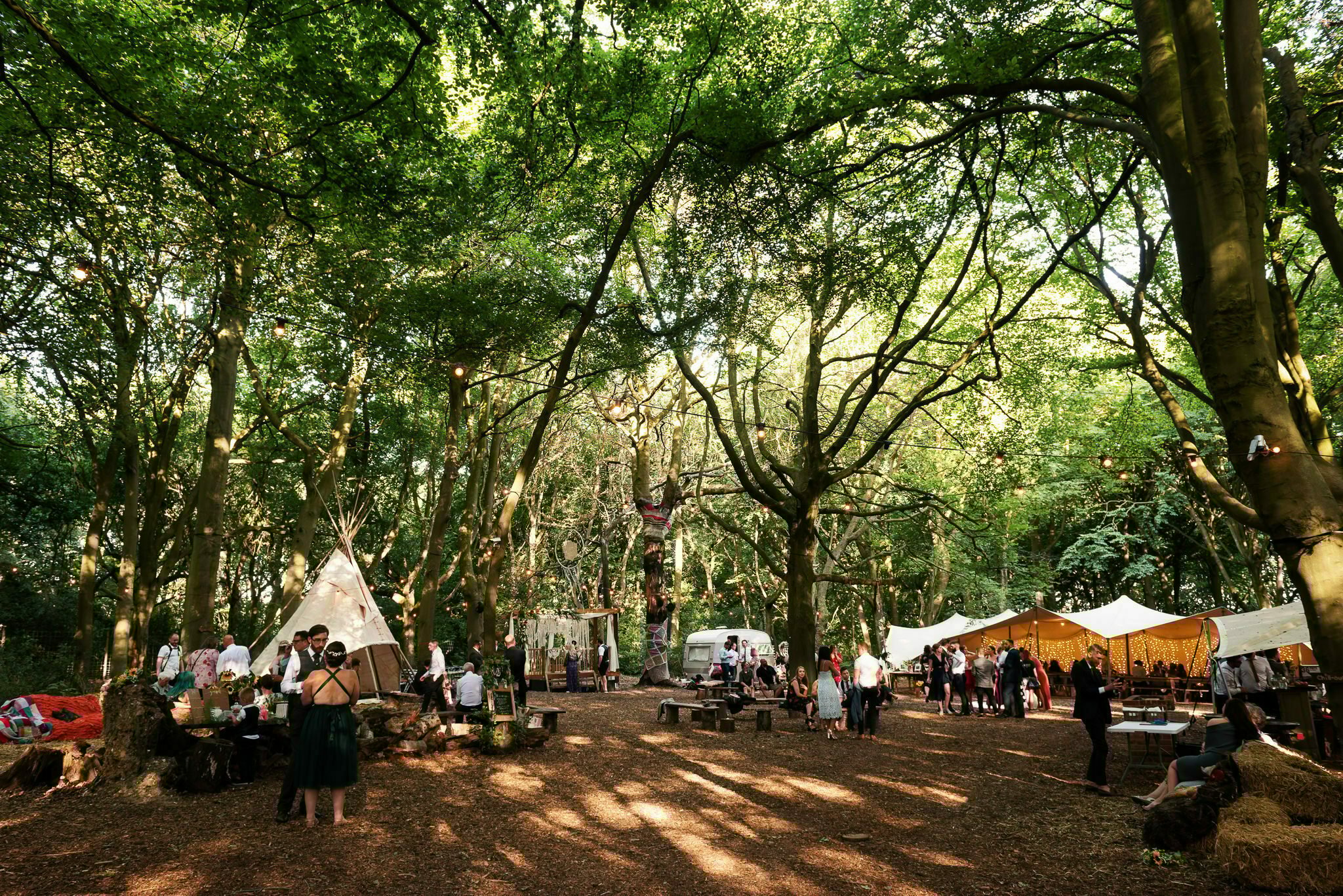 Woodland Wedding At Lila's Wood - Tring Wedding Photographer